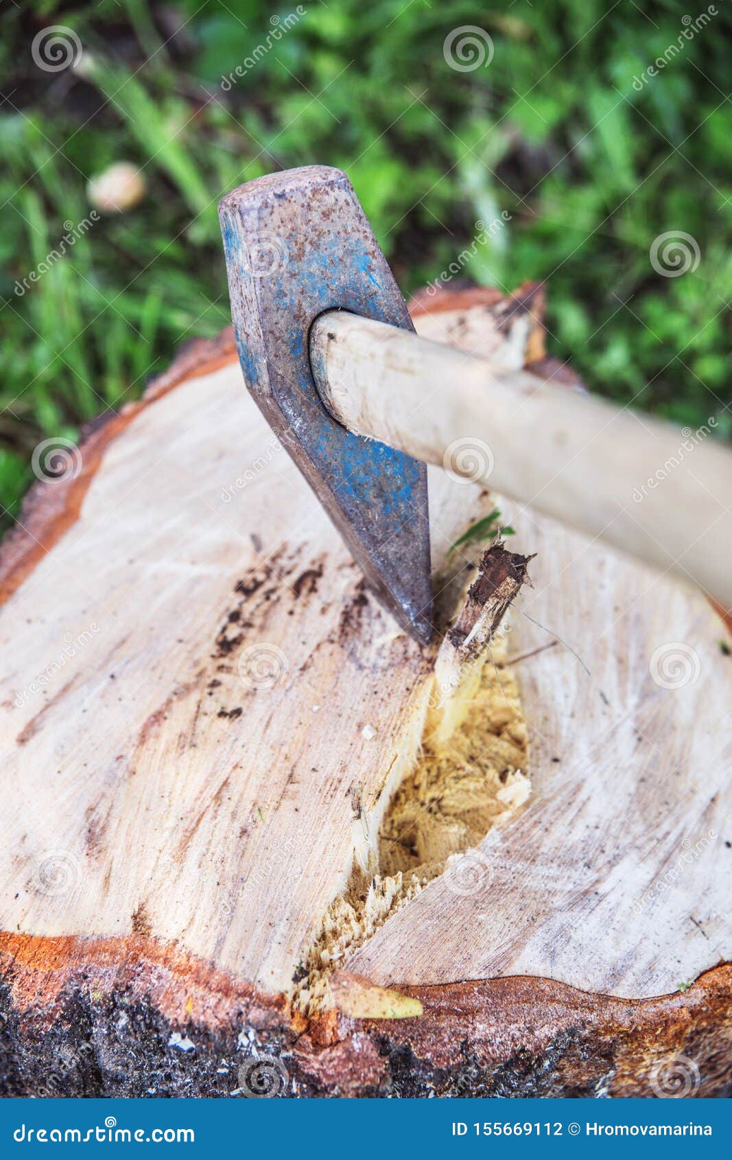 An Ax Cleaver Stuck In A Log On The Background Royalty-Free Stock Photo ...