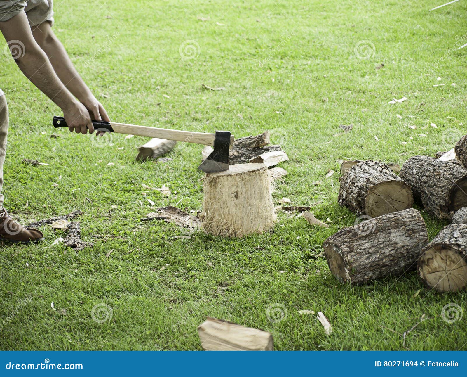 Ax cutting firewood stock photo. Image of split, hardwood - 80271694