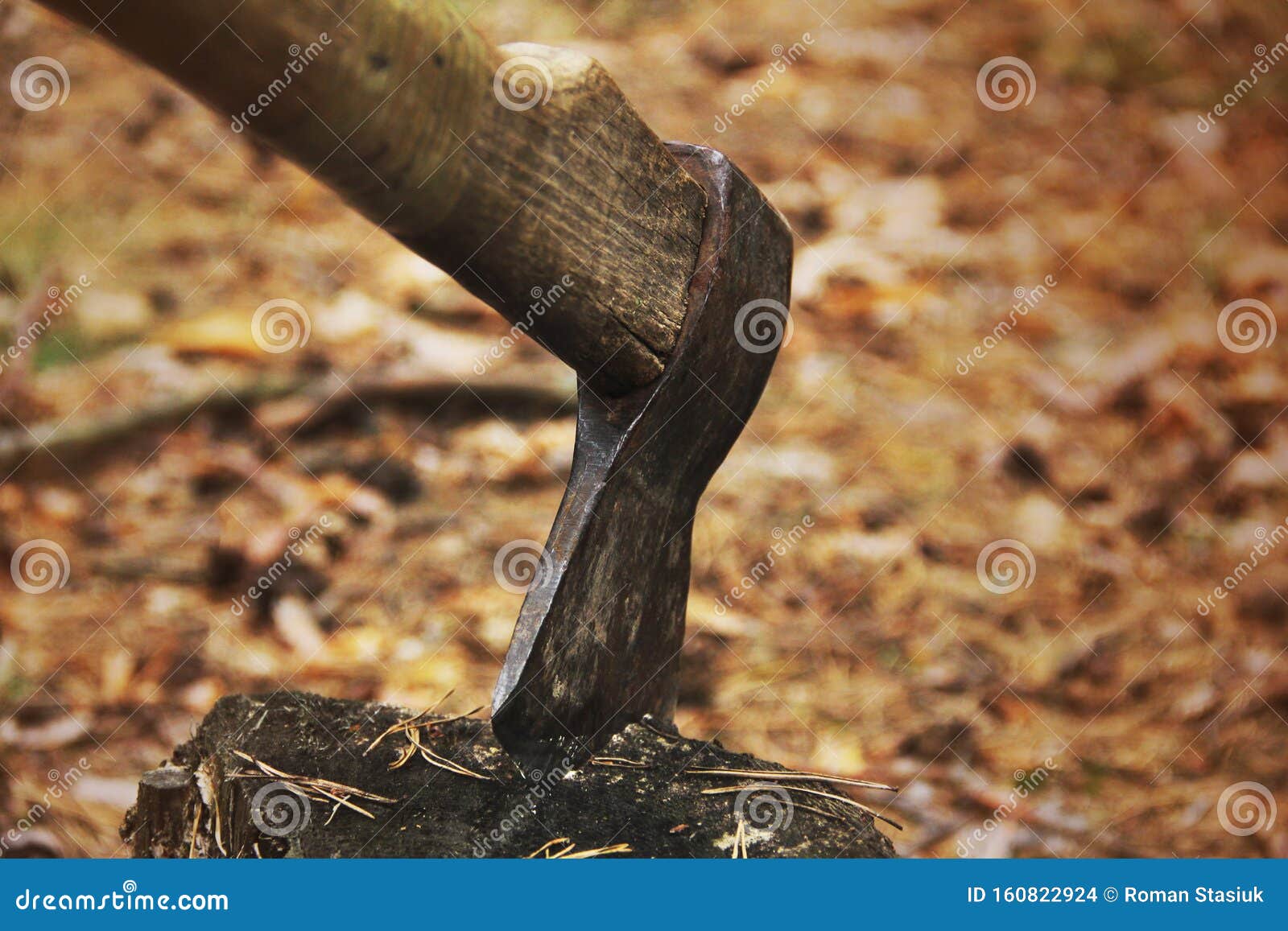 Ax in the Forest. Agricultural Tool Stock Photo - Image of natural ...
