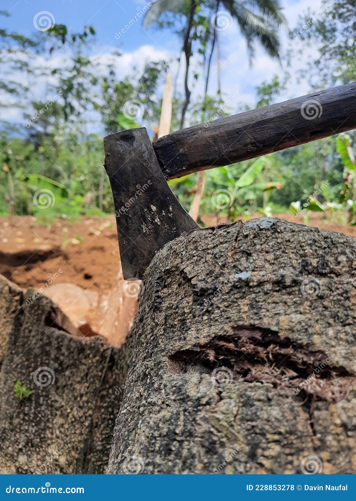 An Ax that Has Completed Its Task of Chopping Wood is Stuck in a Tree ...