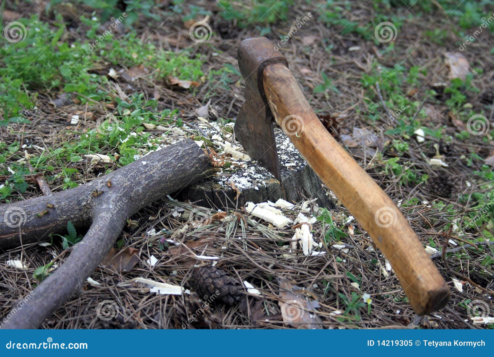 Ax and log stock image. Image of blade, forestry, lumber - 14219305