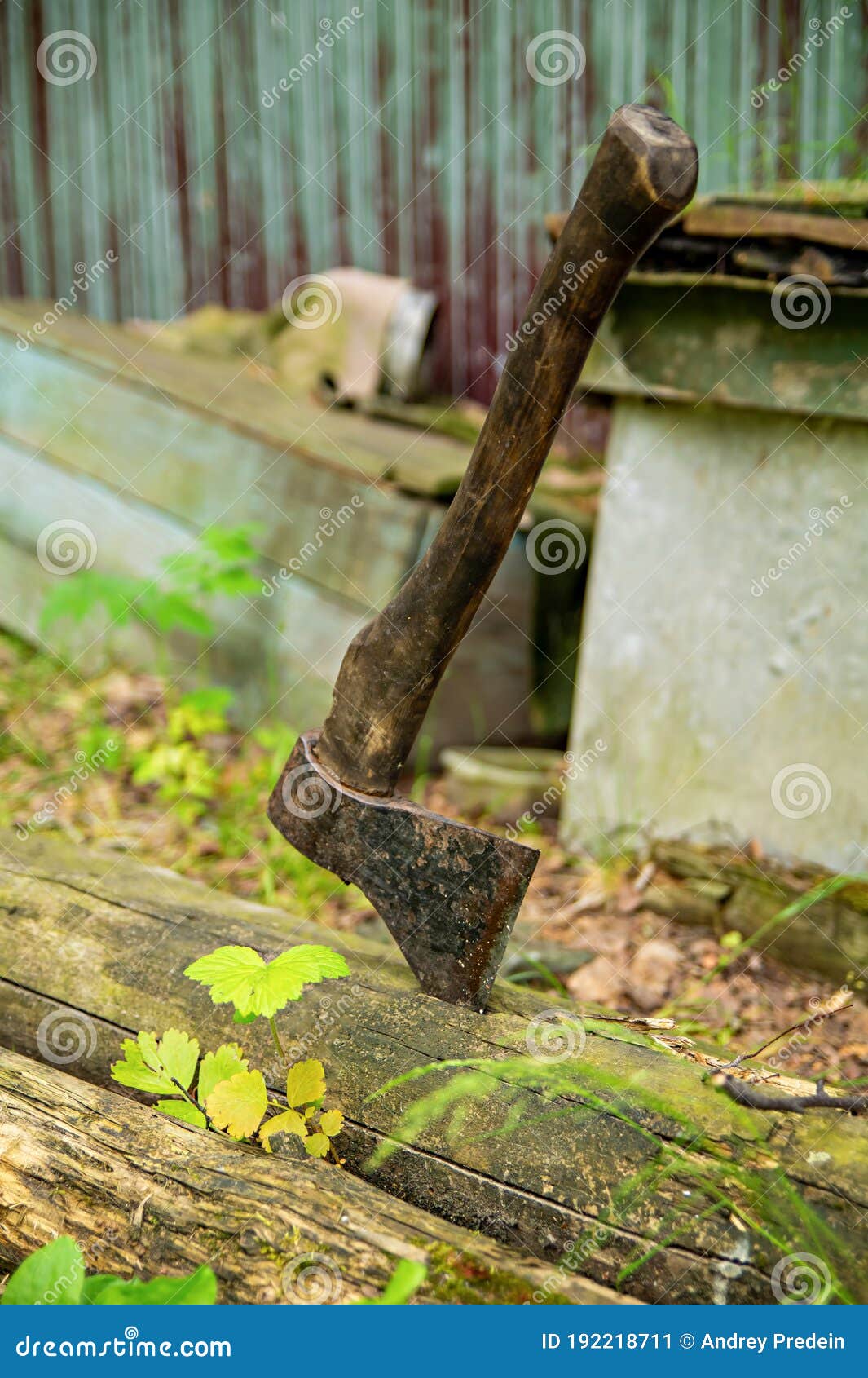Ax in a Log on a Background of Green Grass Stock Image - Image of grass ...