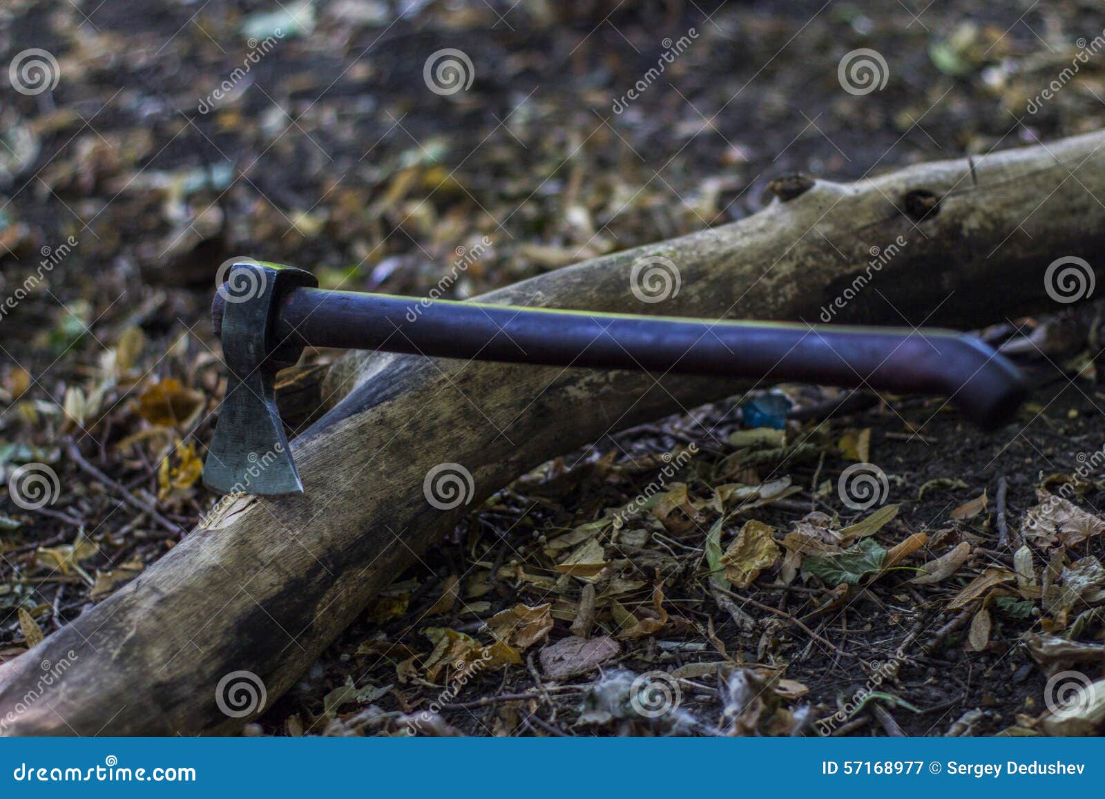 Ax in a log stock image. Image of cutting, bark, close - 57168977