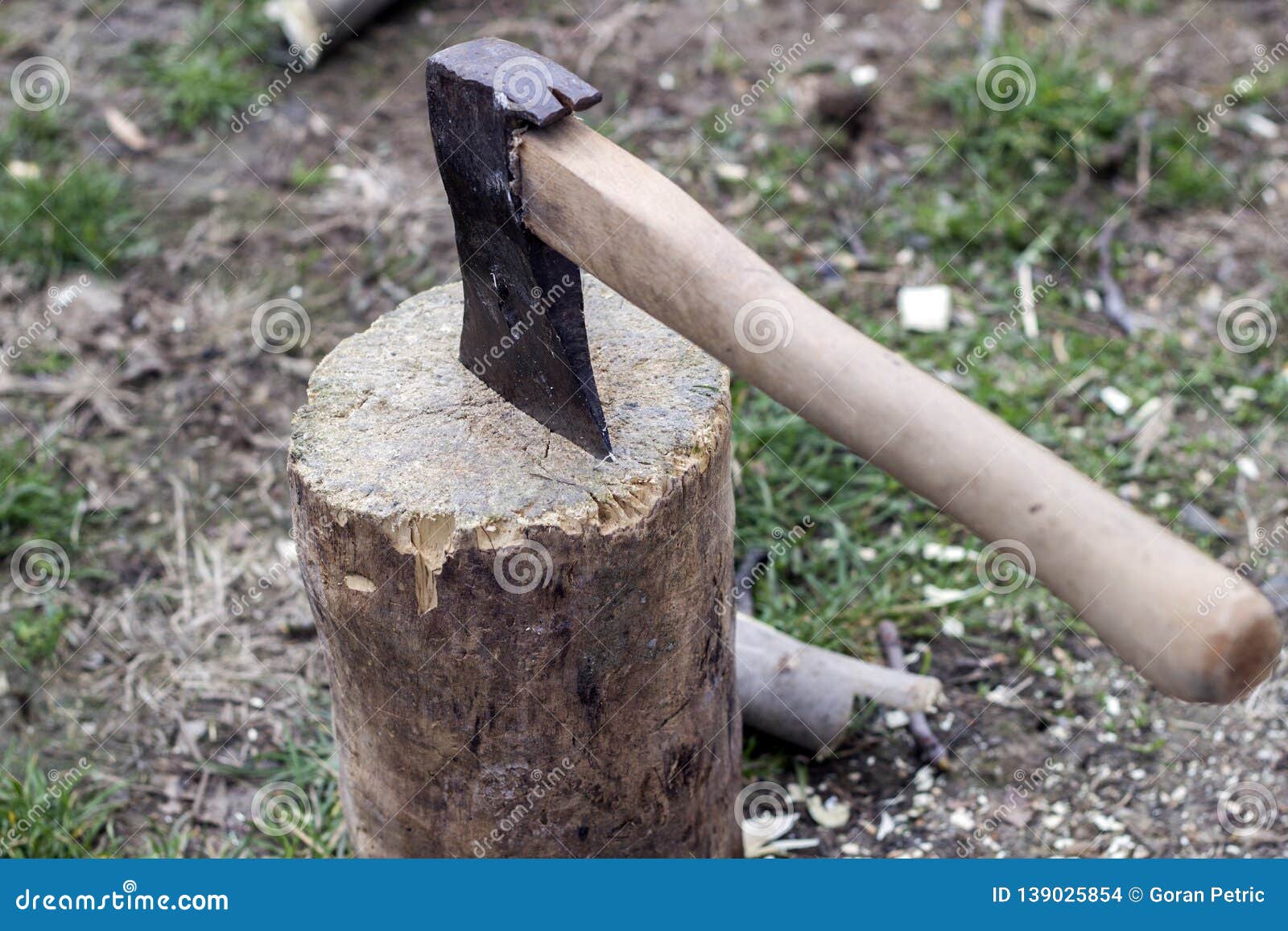 The Ax Is Stabbed With A Blade Into The Stump. Axe For Removing Tree ...