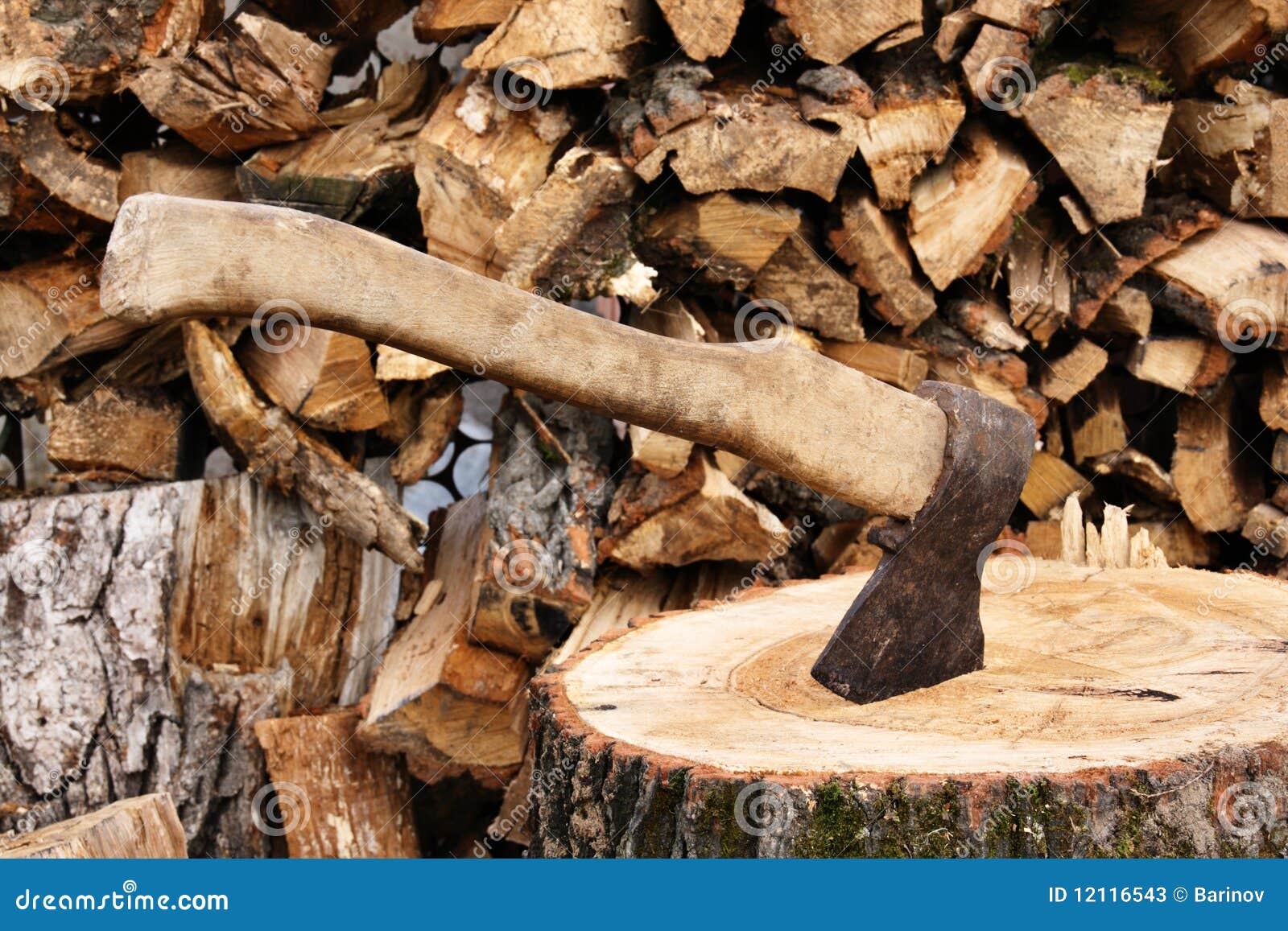 Ax stuck in a large timber stock image. Image of bark - 12116543