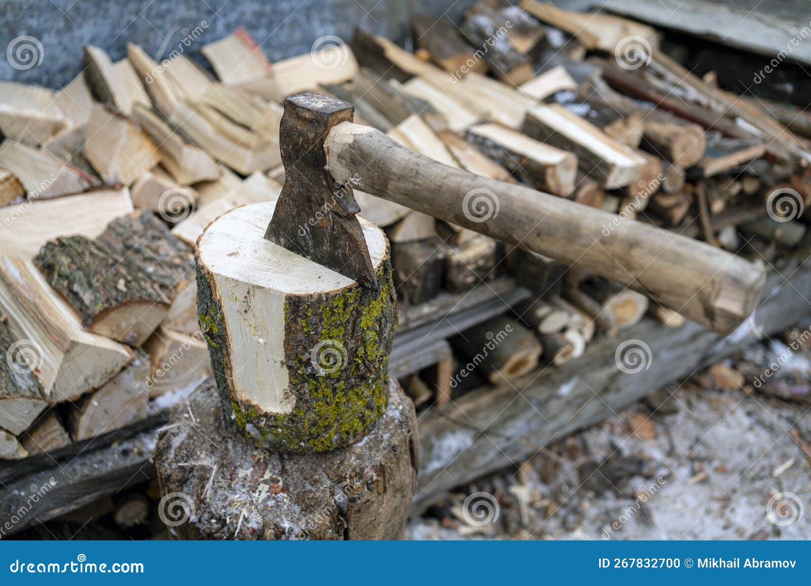 Ax Stuck in a Log. a Pine Log Cut in Half. Preparation of Firewood ...