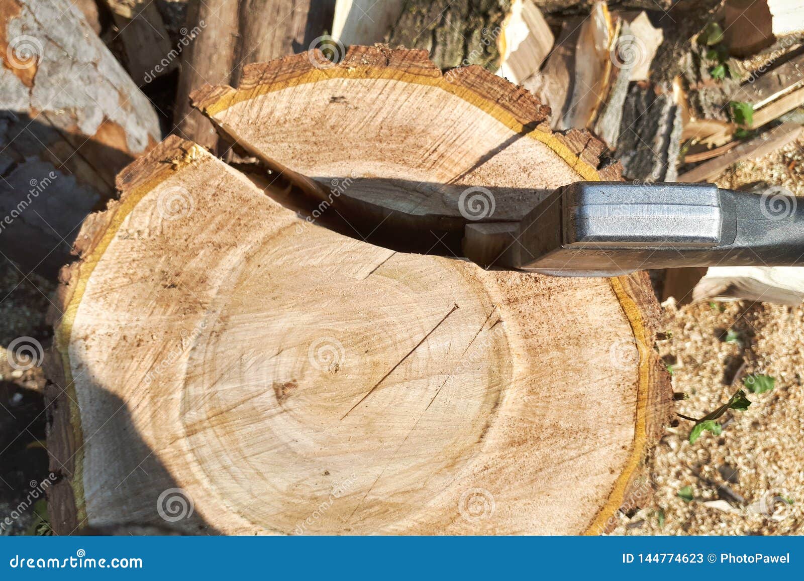 Ax Stuck in a Splintered Tree Stock Image - Image of nature, forest ...