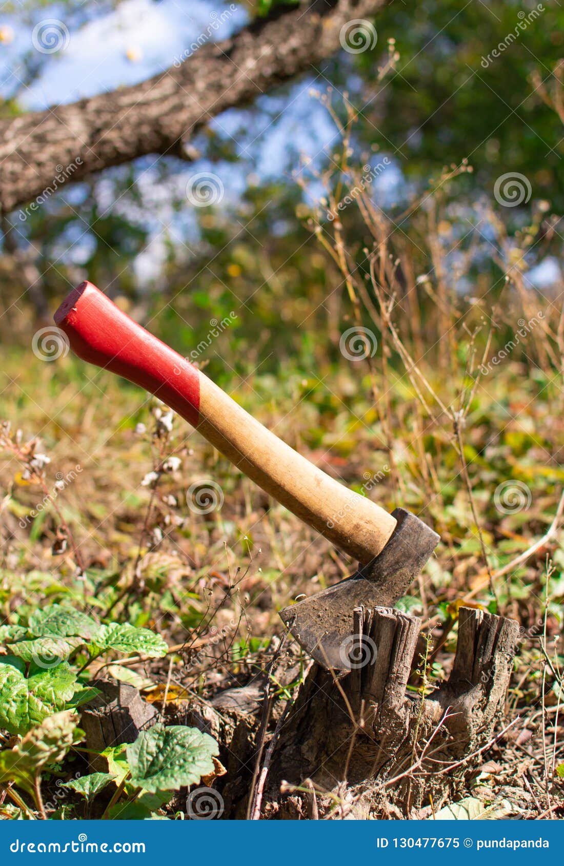 Ax in the Stump in the Garden Stock Image - Image of rural, brown ...