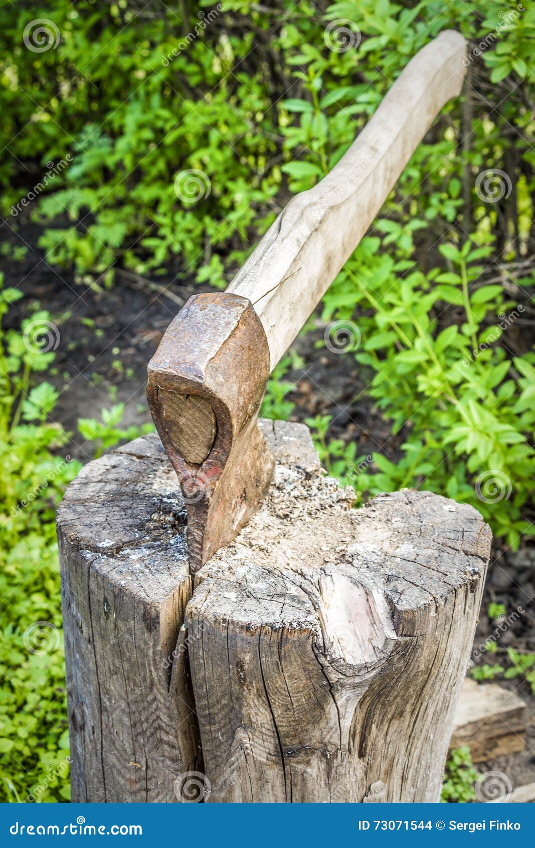 Ax stuck in the stump stock photo. Image of backyard - 73071544