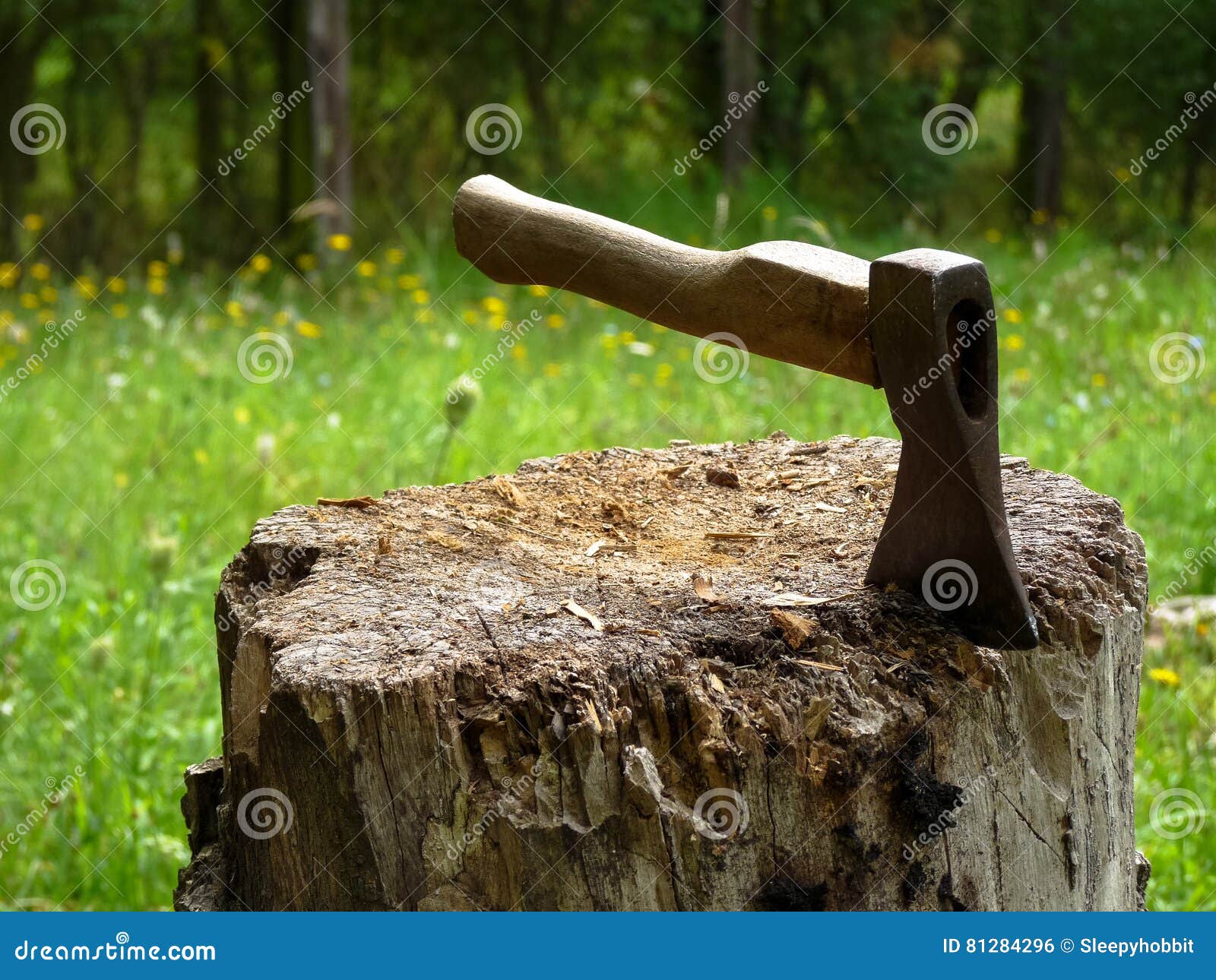 An ax stock photo. Image of chopping, nature, tool, equipment - 81284296