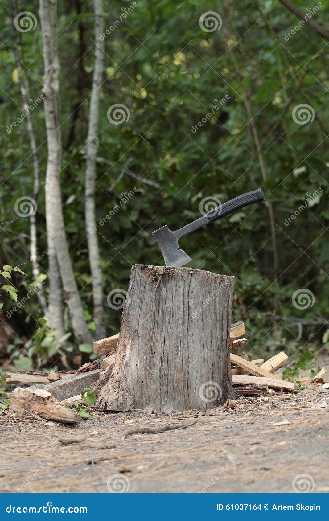 Ax stuck in a tree stump stock photo. Image of lumberman - 61037164