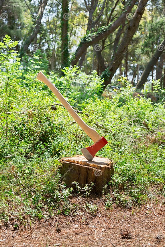 Ax stuck in a tree stump stock image. Image of handle - 54298527