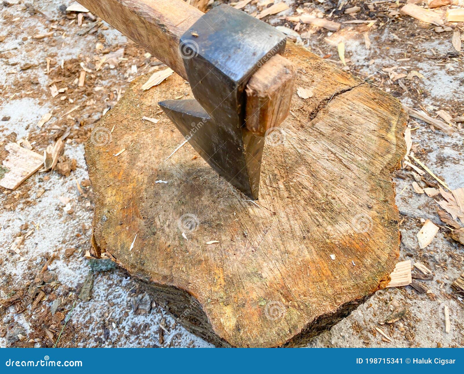 Ax stuck in a tree stump stock image. Image of cutting - 198715341