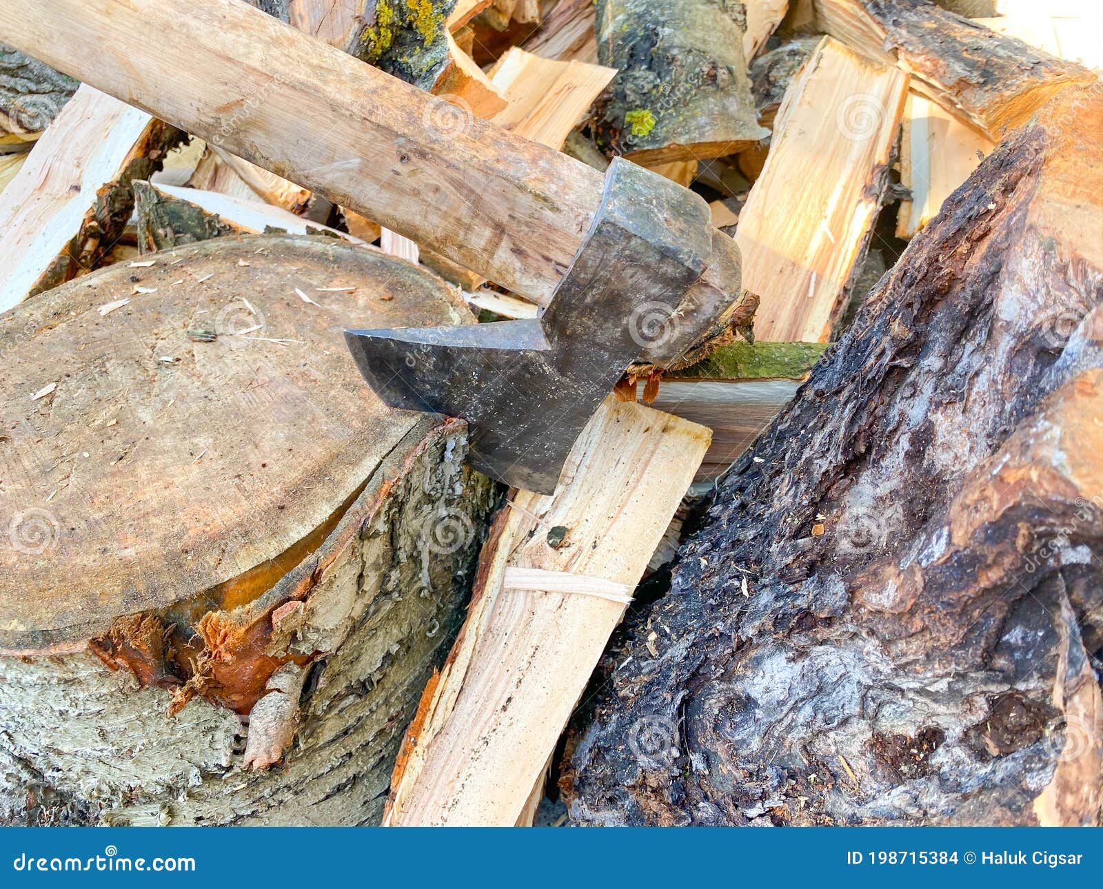 Ax stuck in a tree stump stock photo. Image of woodcutters - 198715384