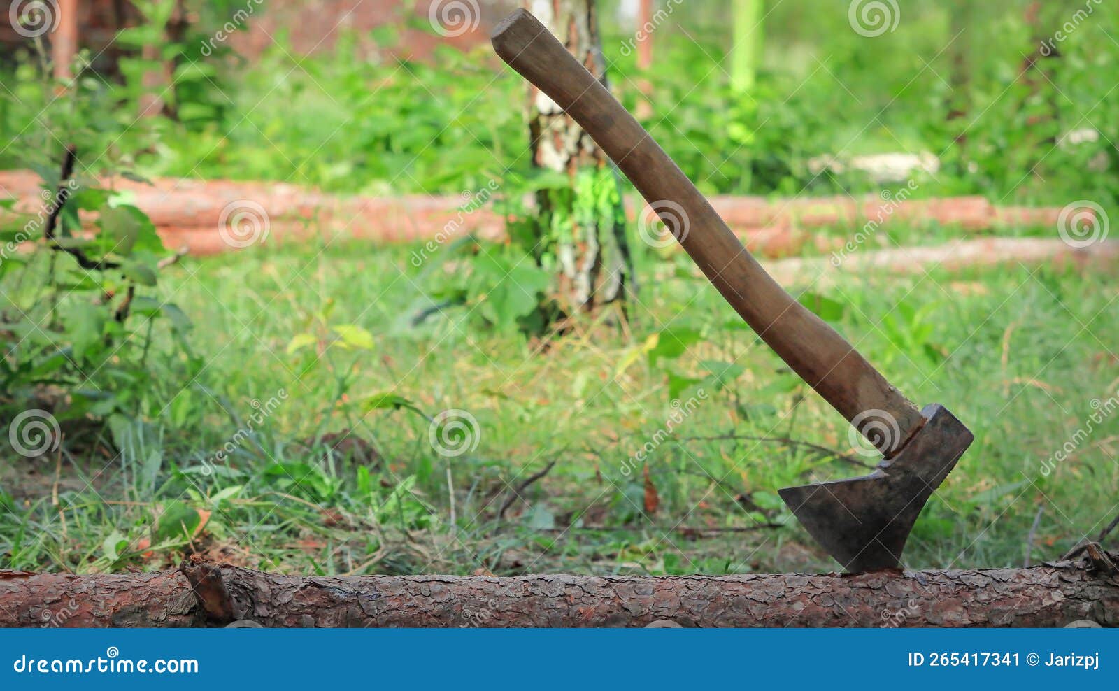 An Ax Stuck in a Tree Trunk. Stock Image - Image of chop, hatchet ...