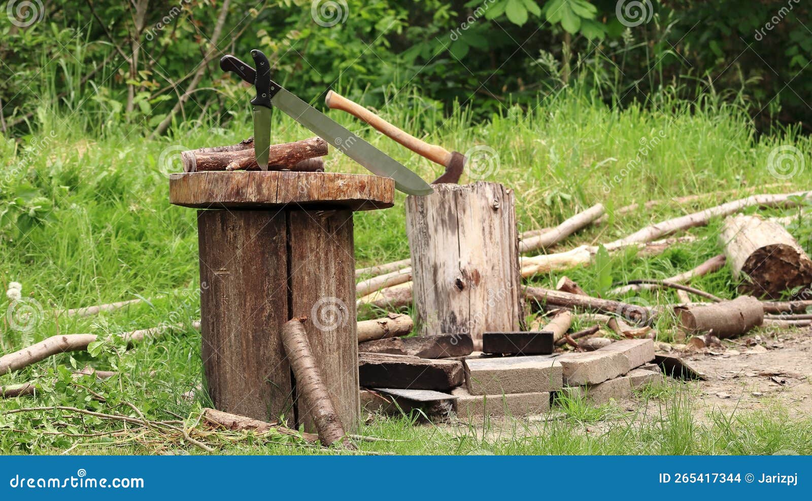 An Ax Stuck in a Tree Trunk. Stock Photo - Image of firewood, animal ...
