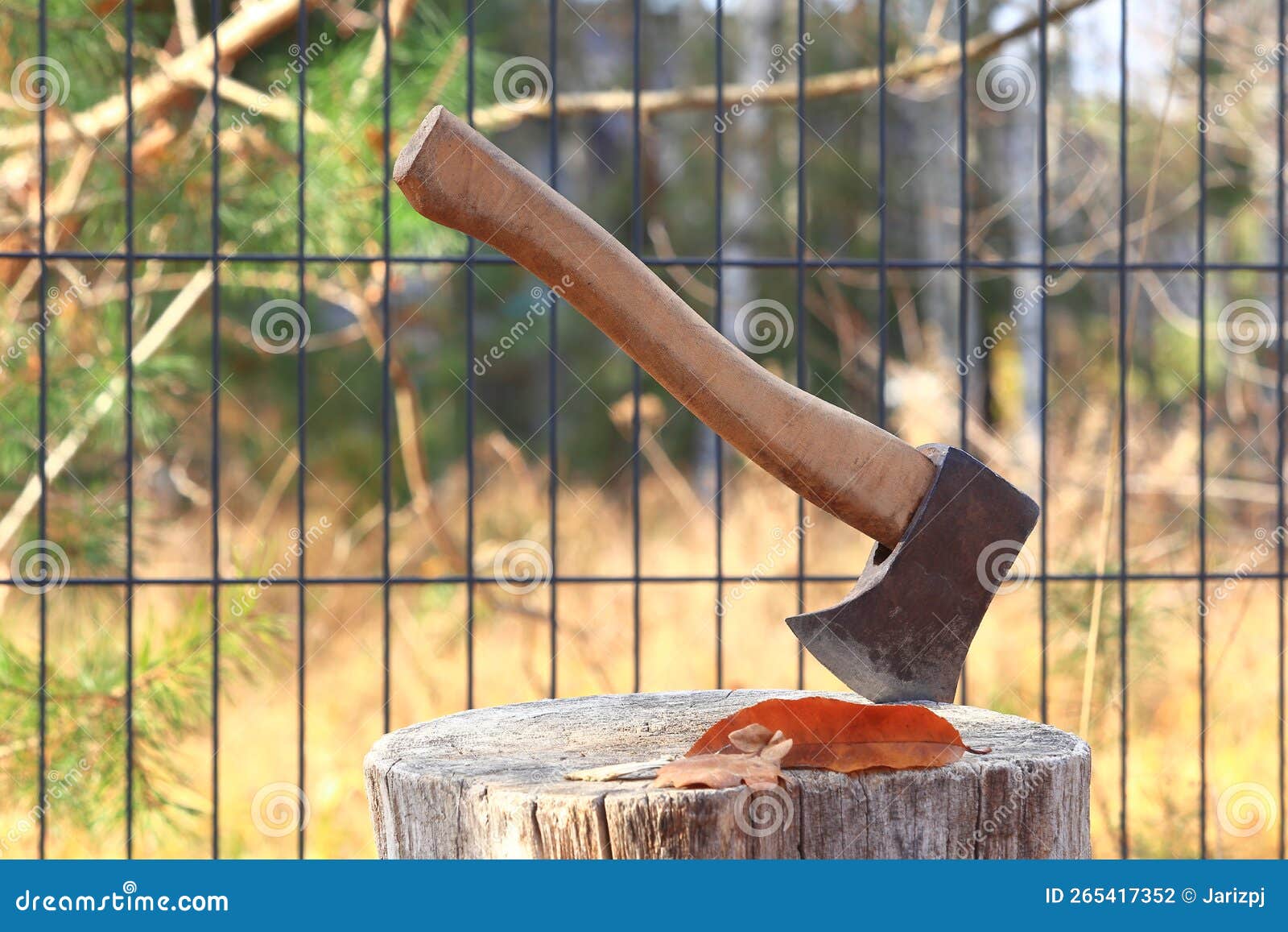 An Ax Stuck in a Tree Trunk. Stock Photo - Image of statue, garden ...