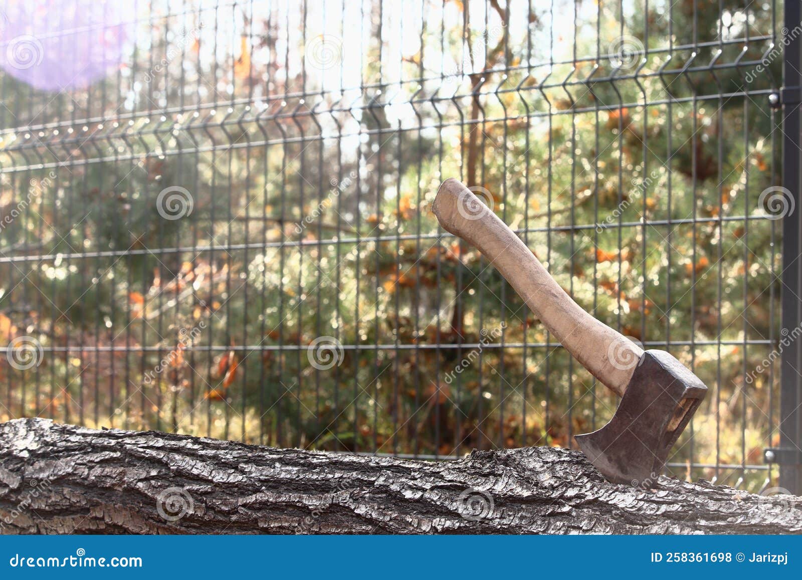 An Ax Stuck in a Tree Trunk Stock Photo - Image of hardworking ...