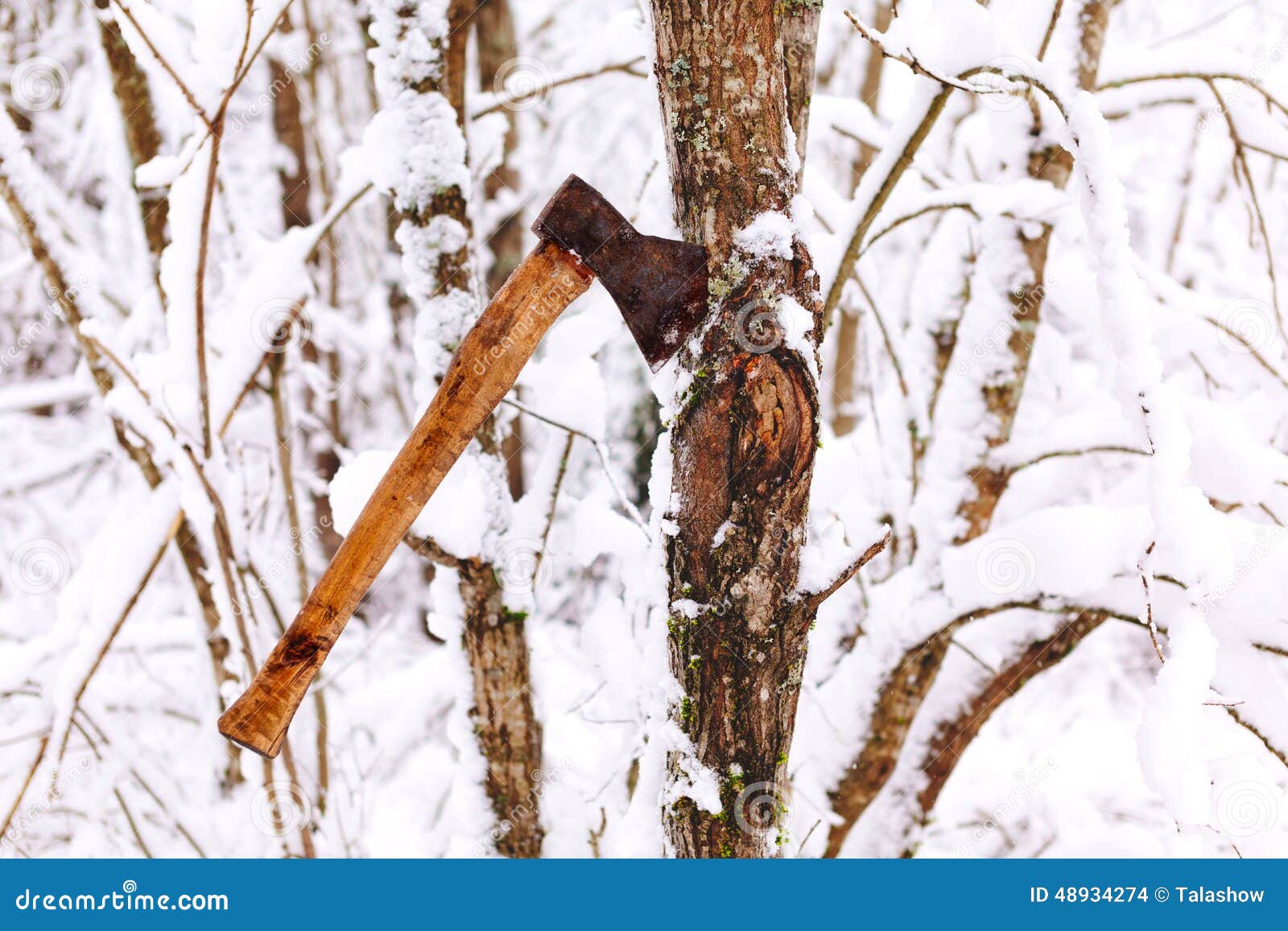 Ax stuck in a tree stock photo. Image of rusty, hatchet - 48934274