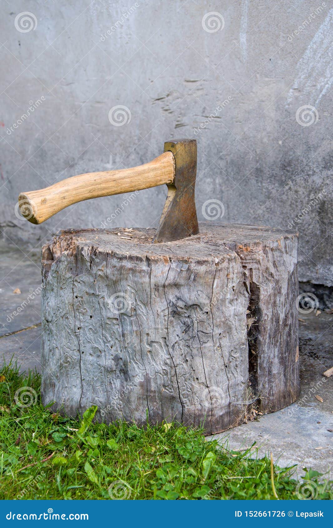 The Ax is Stuck in a Tree, the Work of a Woodcutter Stock Photo - Image ...
