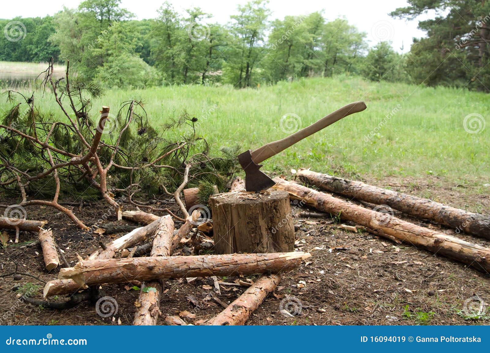 Ax and stump stock image. Image of firewood, hatchet - 16094019