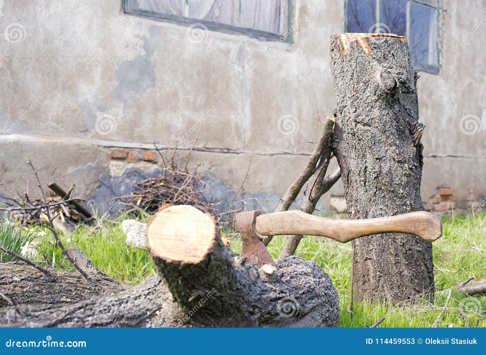 The ax is stuck in a tree stock image. Image of nature - 114459553