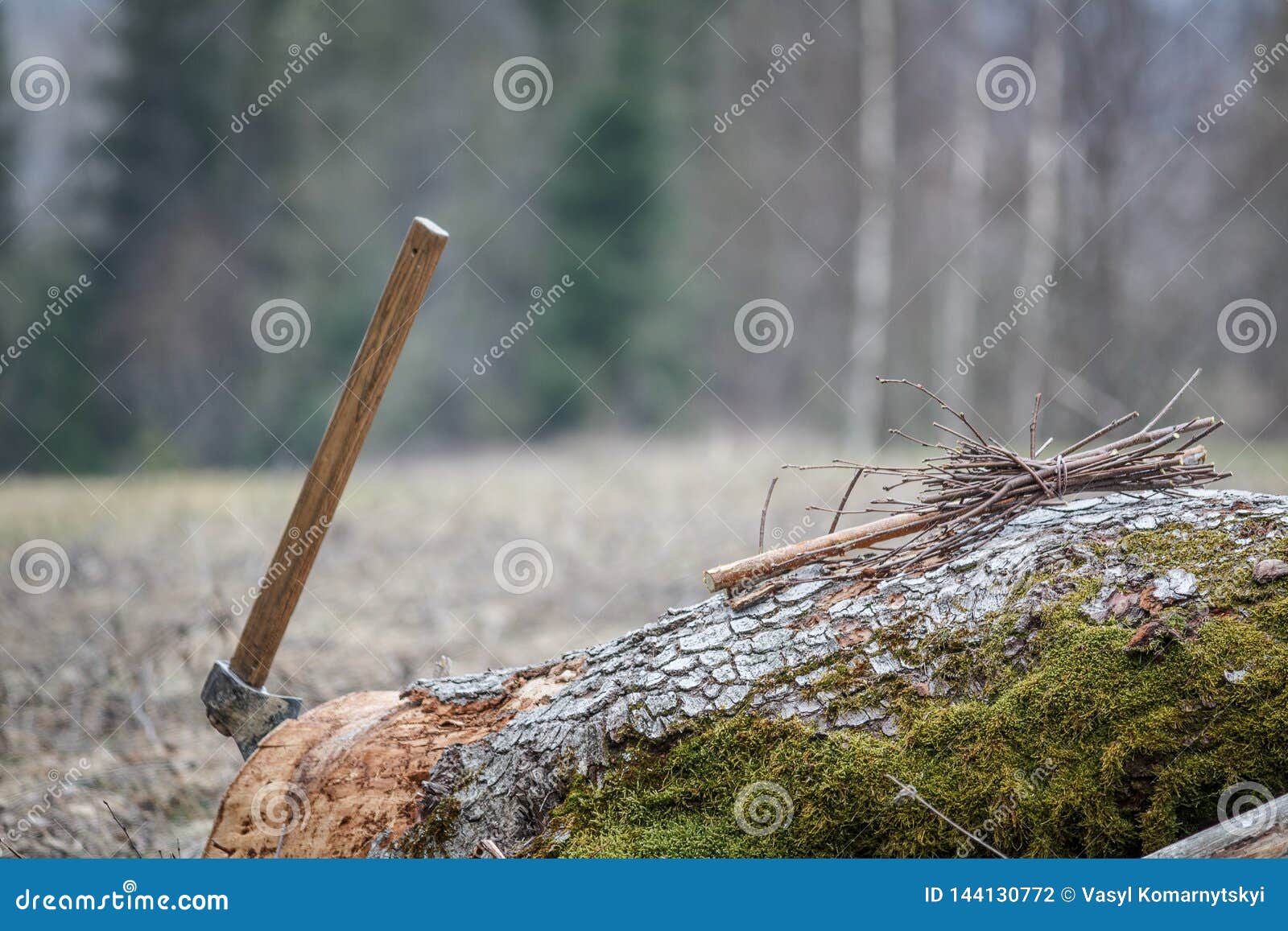 Ax in the tree stock photo. Image of close, chop, environment - 144130772