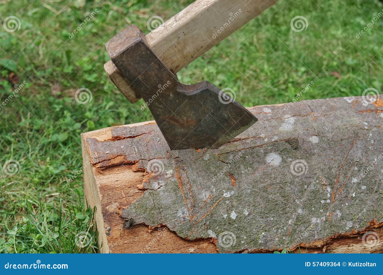 479 Old Splitting Tree Stump Stock Photos - Free & Royalty-Free Stock ...