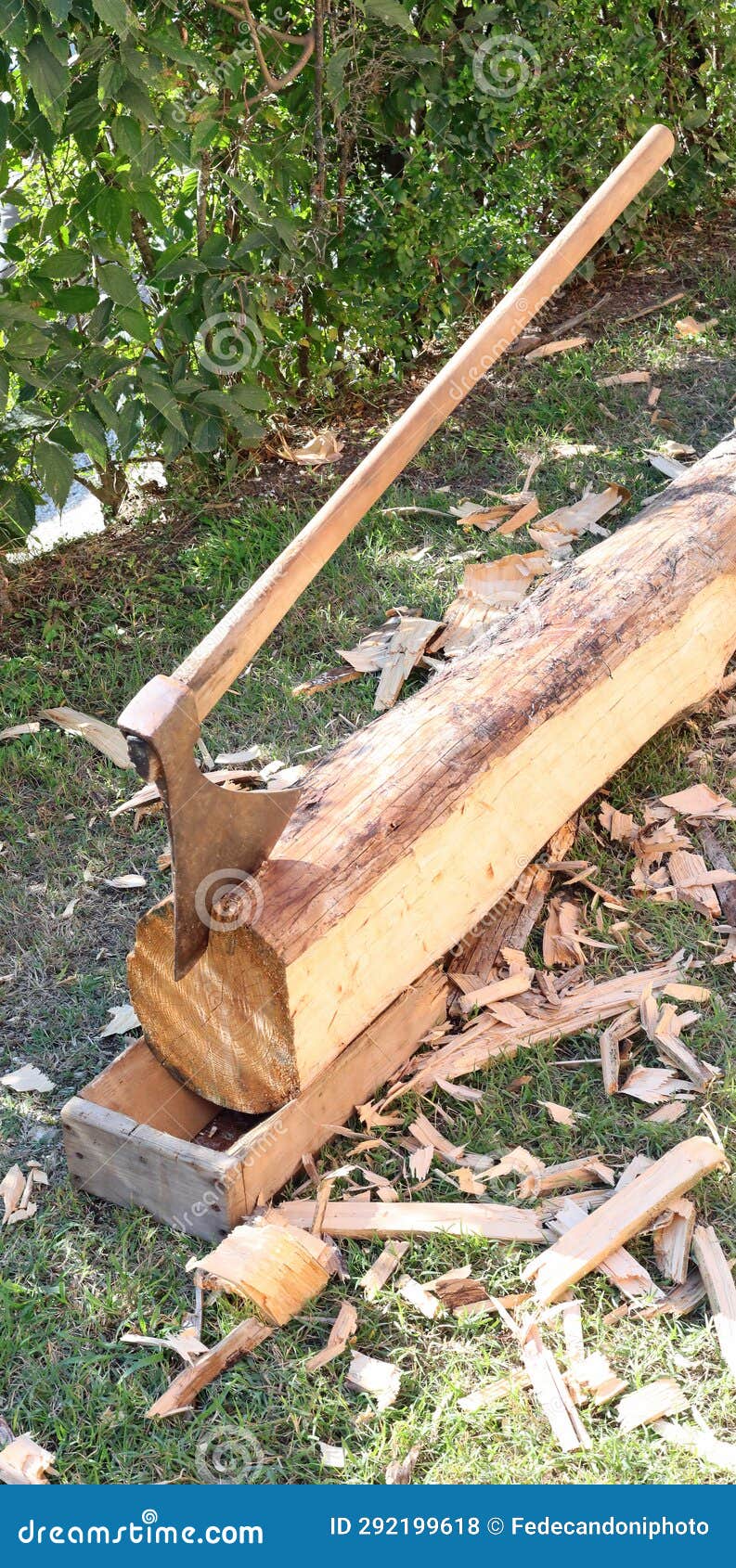 Ax Used by Woodcutter To Cut the Trunk of the Tree Stock Photo - Image ...