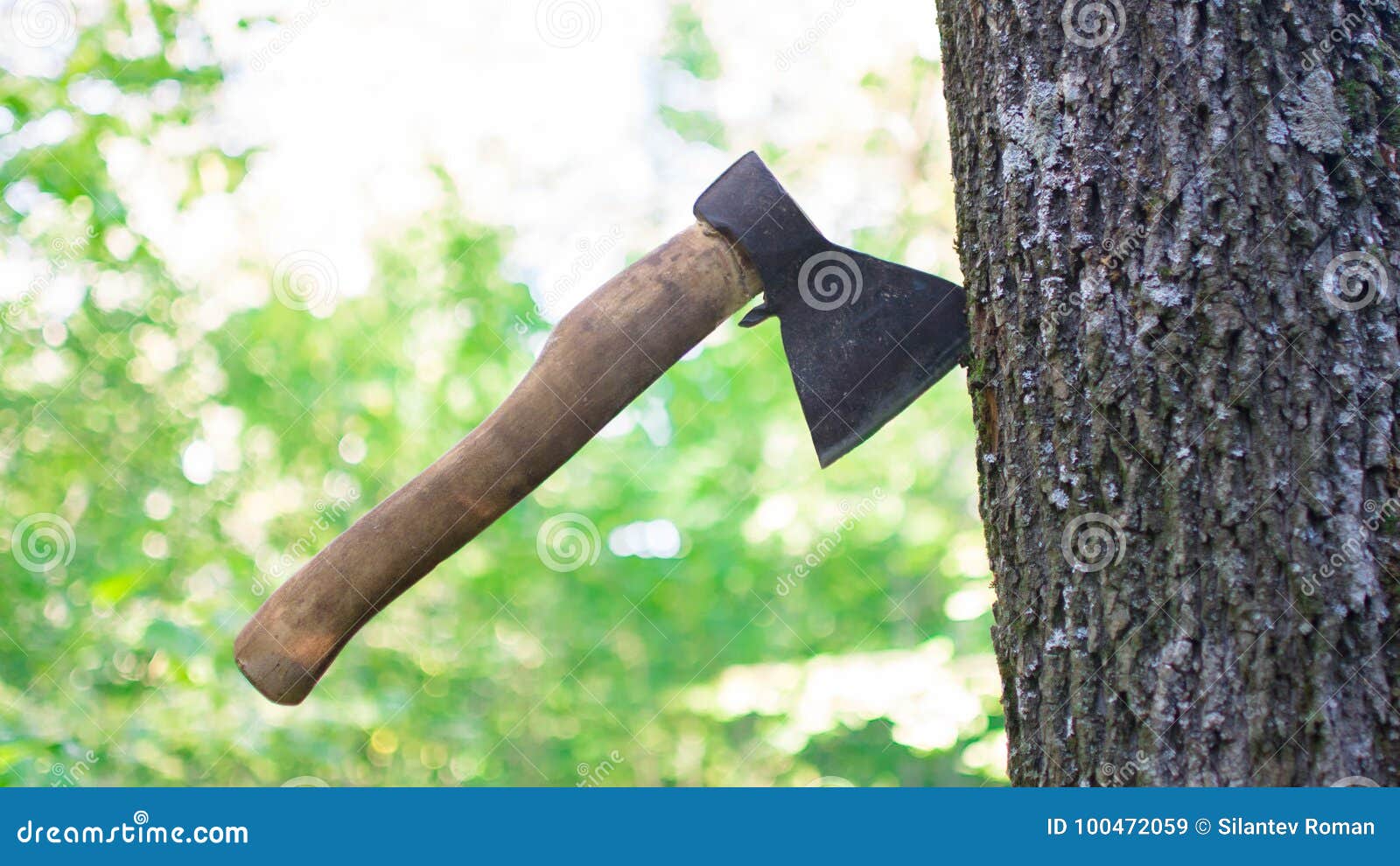 An ax in the woods stock image. Image of hunting, protection - 100472059