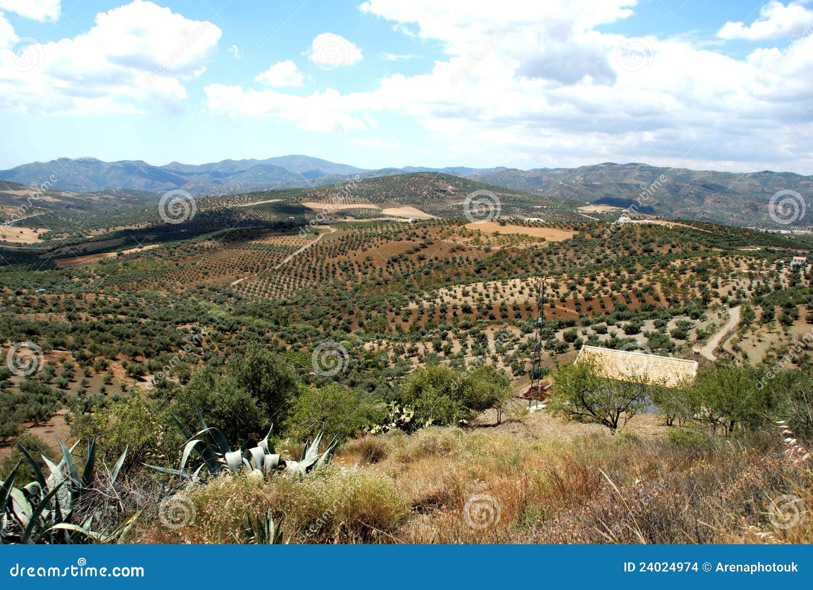 Axarquia Countryside, Andalusia, Spain. Stock Photo - Image of spain ...
