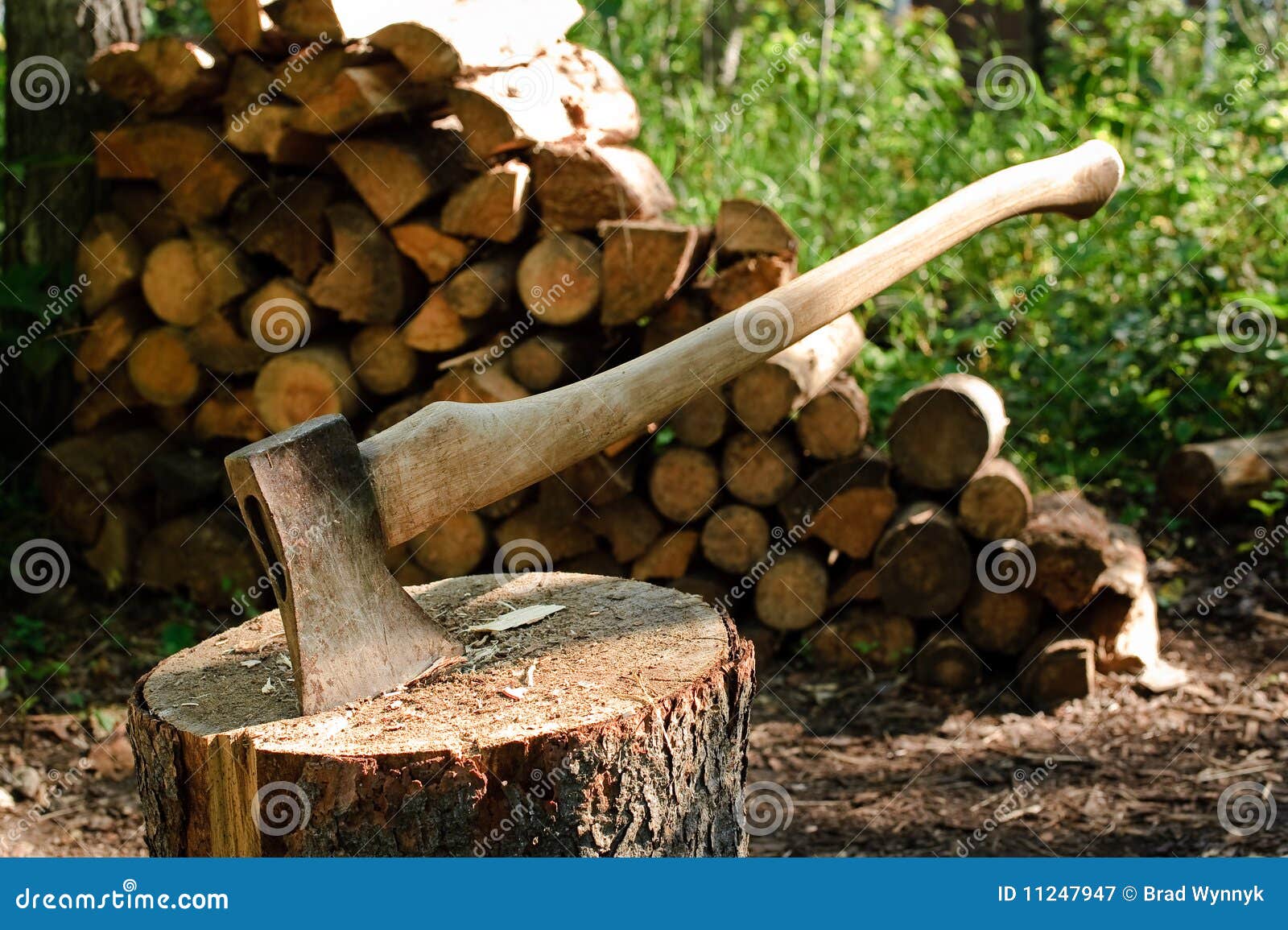 An Axe stock image. Image of hatchet, natural, lake, forestry - 11247947