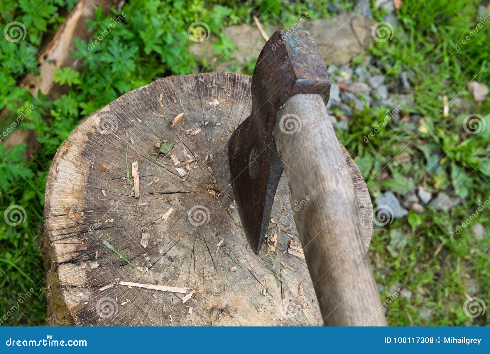 An Axe Being Thrust into a Stump. Stock Photo - Image of logs, habitat ...
