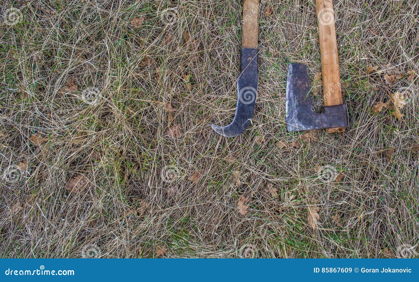 Axe and Billhook stock image. Image of billhook, pruning - 85867609