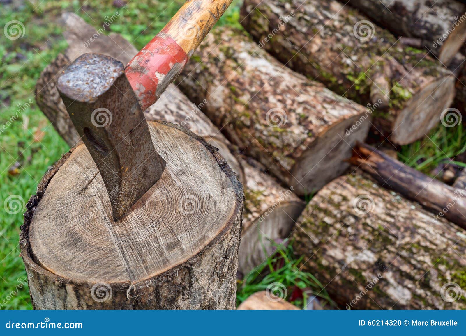 Axe on chopping block stock photo. Image of tool, logger - 60214320