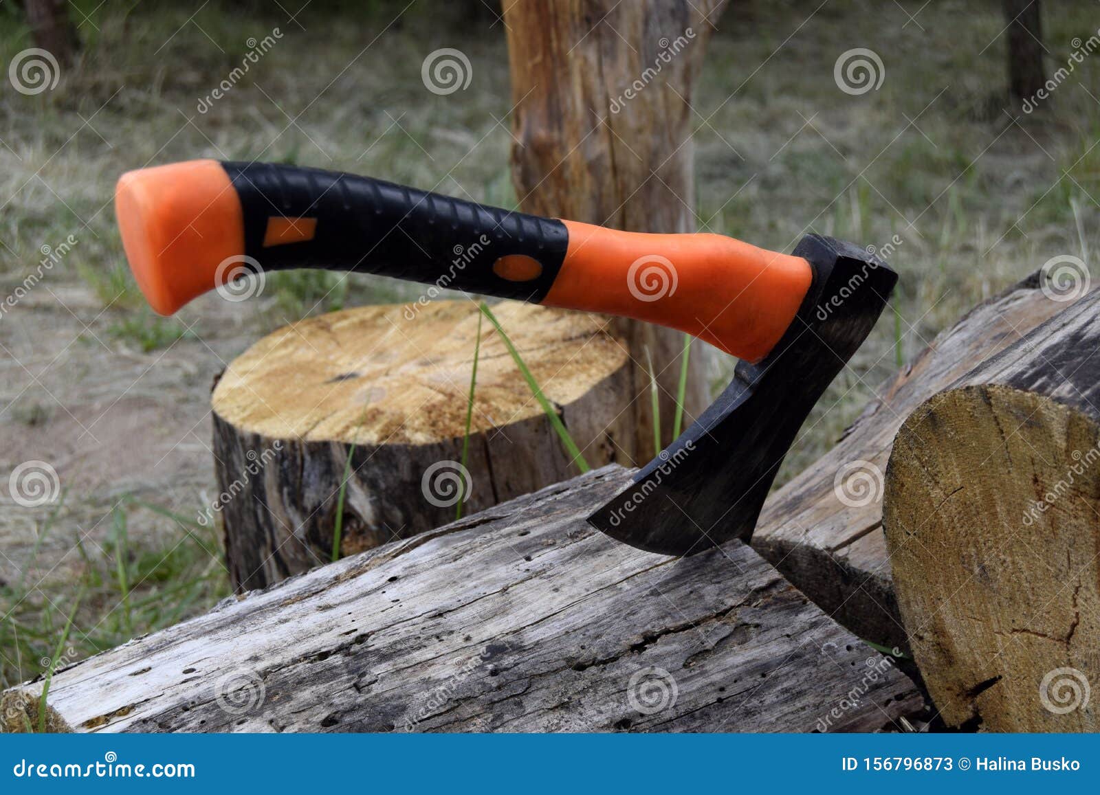 The Axe Cuts a Tree. Axe is a Tool for Wood Harvesting Stock Image ...