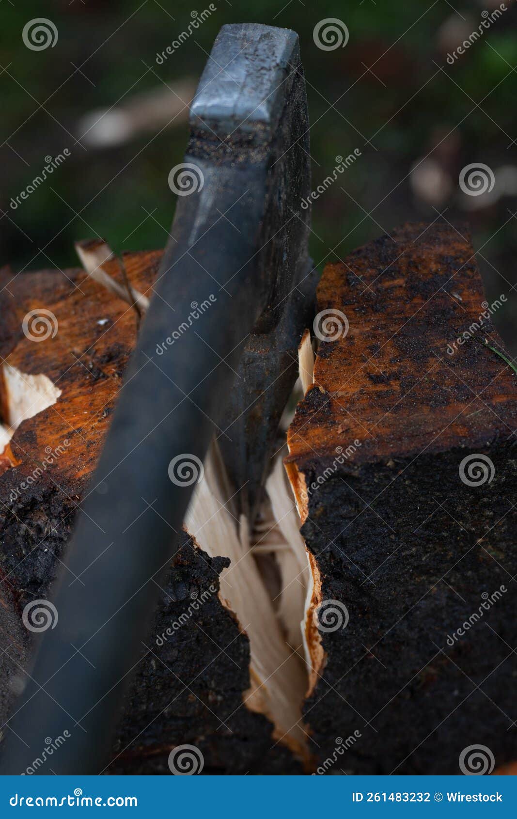 Axe cutting through log stock photo. Image of hardwood - 261483232
