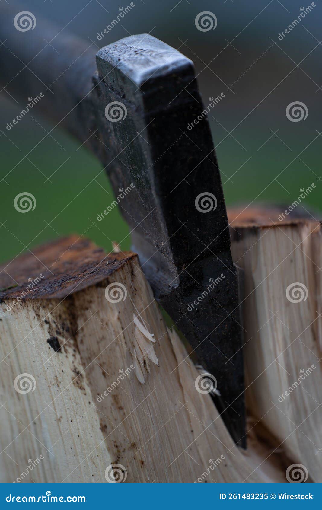 Axe cutting through log stock image. Image of work, metal - 261483235