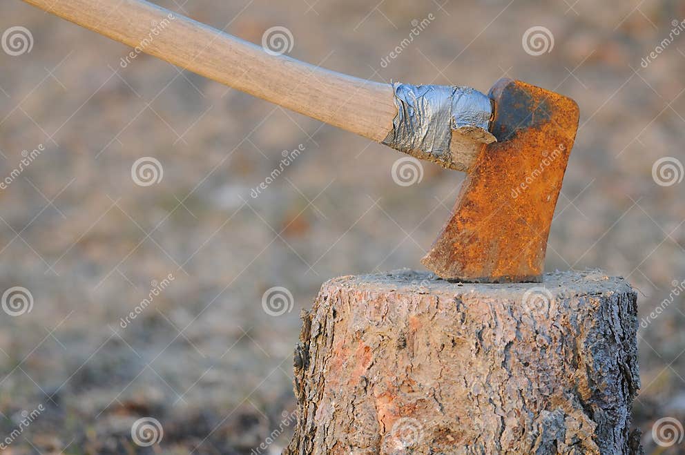 Axe embedded in tree stump stock image. Image of steel - 4877843
