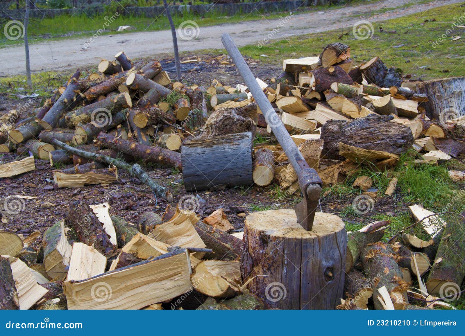 Axe in log stock photo. Image of hatchet, hardwood, chop - 23210210