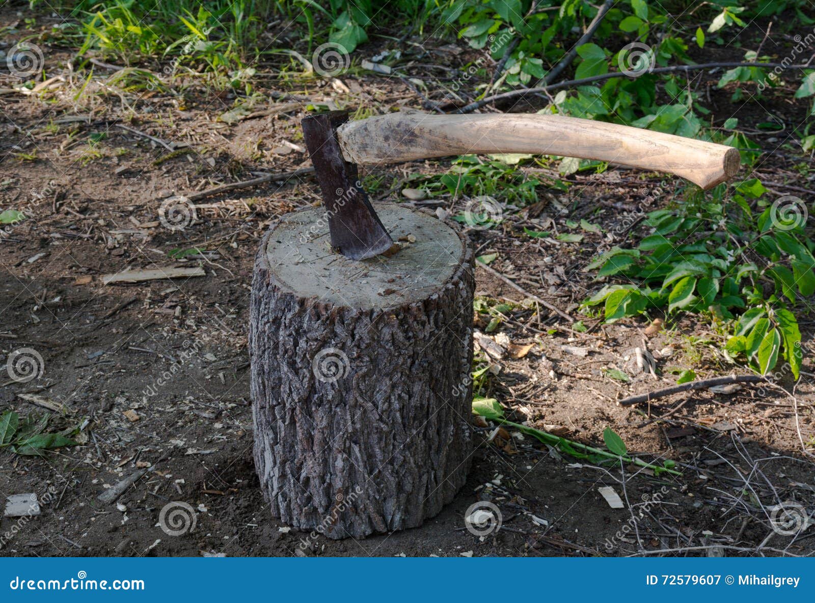 Axe on a log. stock image. Image of instrument, heavy - 72579607