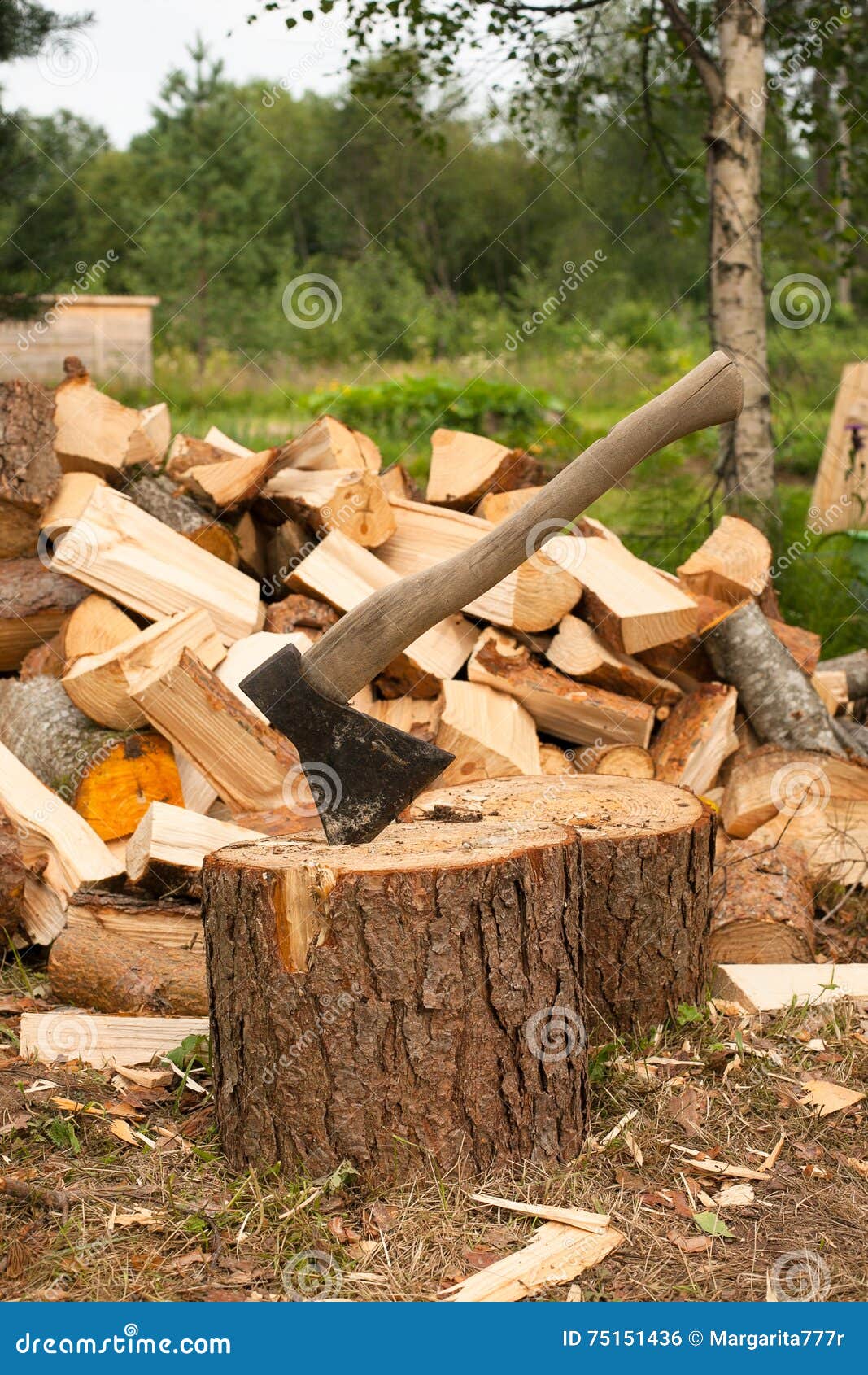 Axe in a log stock photo. Image of blade, pile, hatchet - 75151436