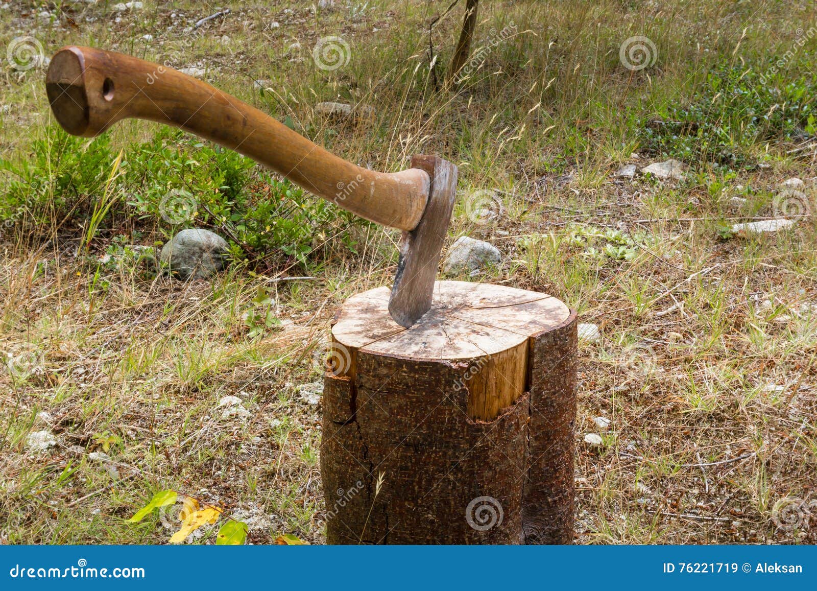 Axe on log stock image. Image of acute, equipment, rusty - 76221719