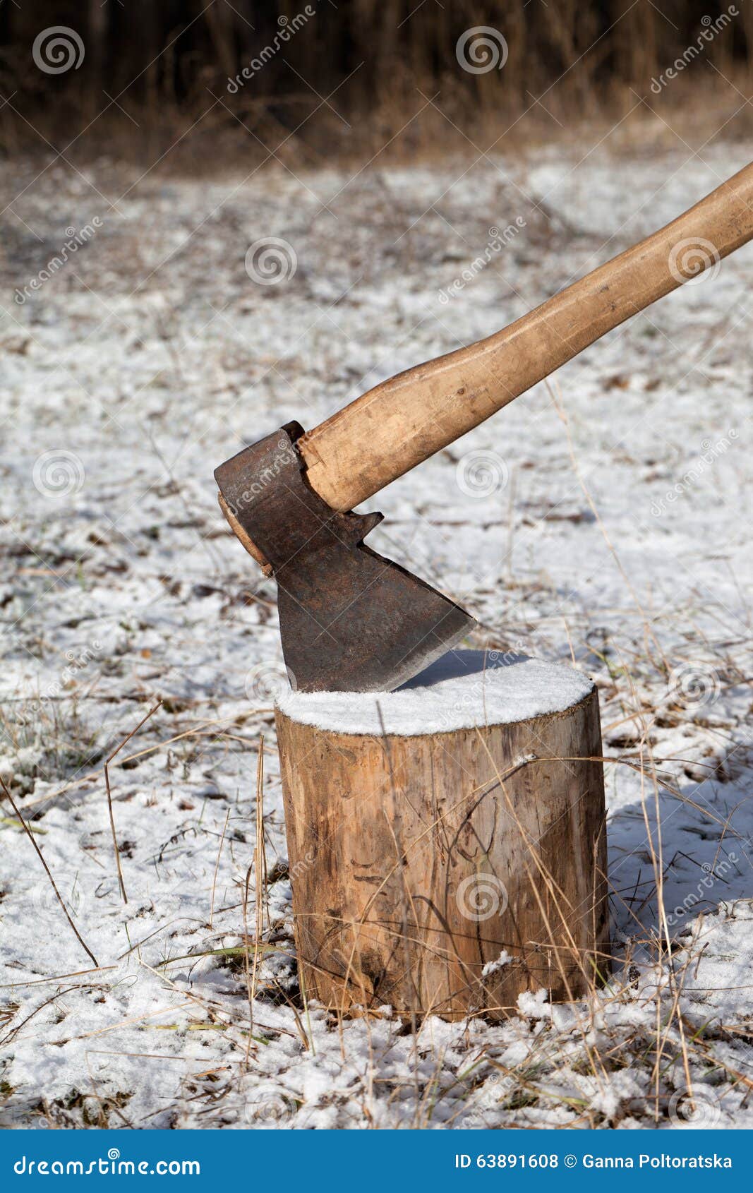 Axe and Log in Winter Forest Stock Photo - Image of cutting, branches ...