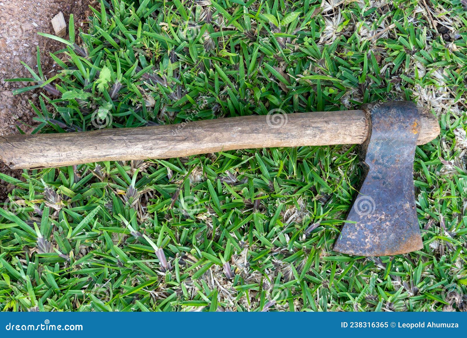 An axe lying in the grass stock image. Image of plant - 238316365