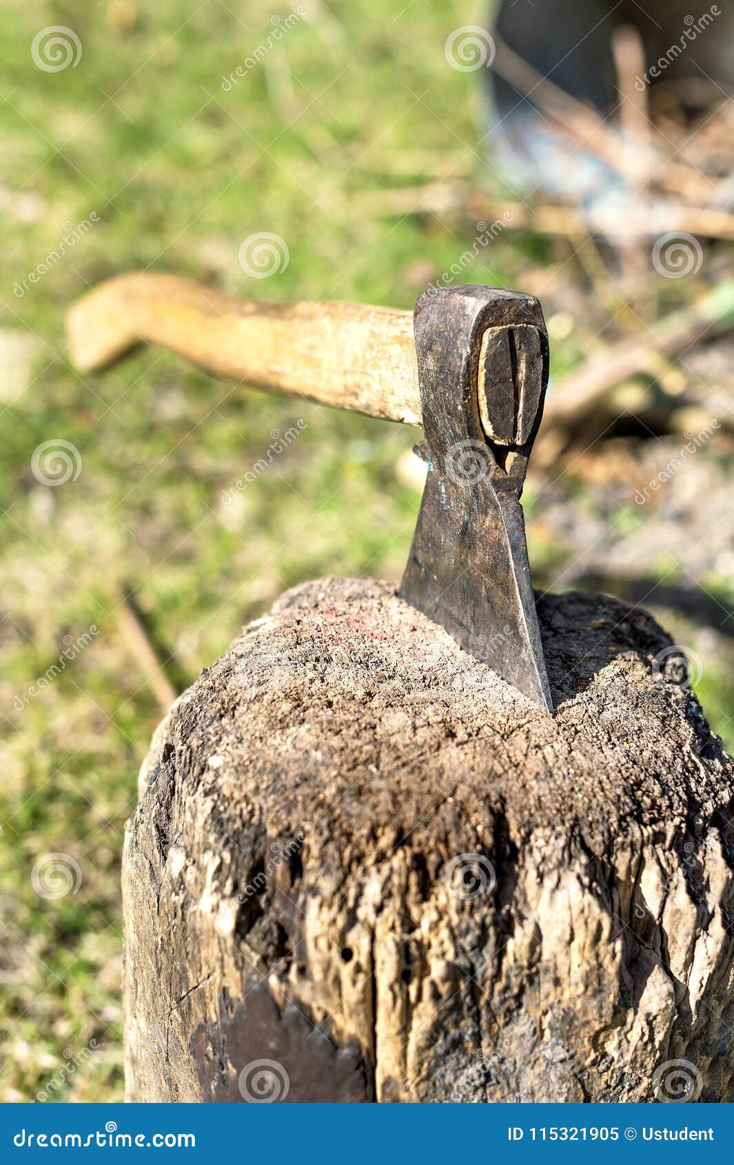 Axe stuck in the stump stock image. Image of outdoor - 115321905