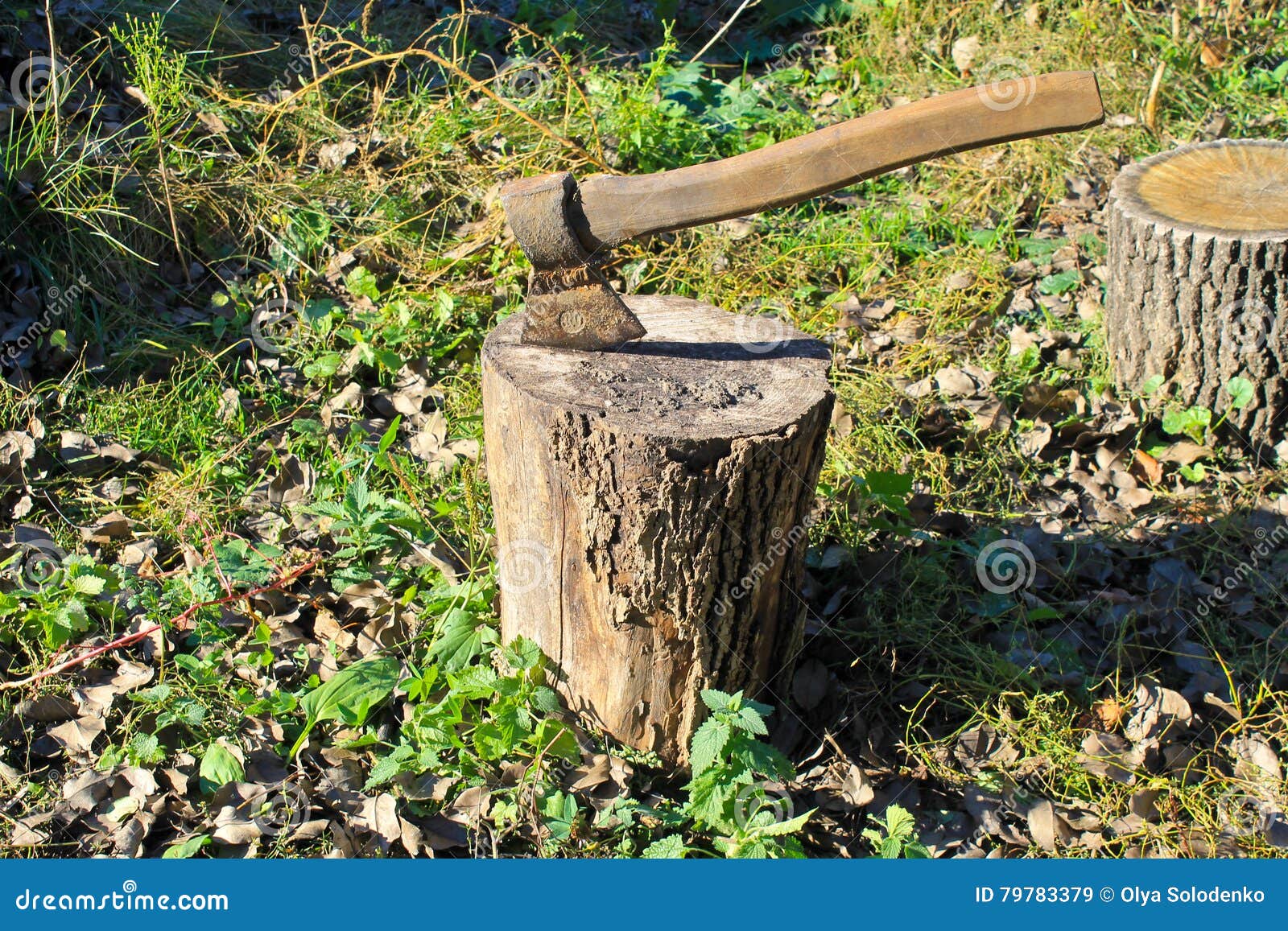 Axe sticking in a log stock image. Image of lumber, hatchet - 79783379