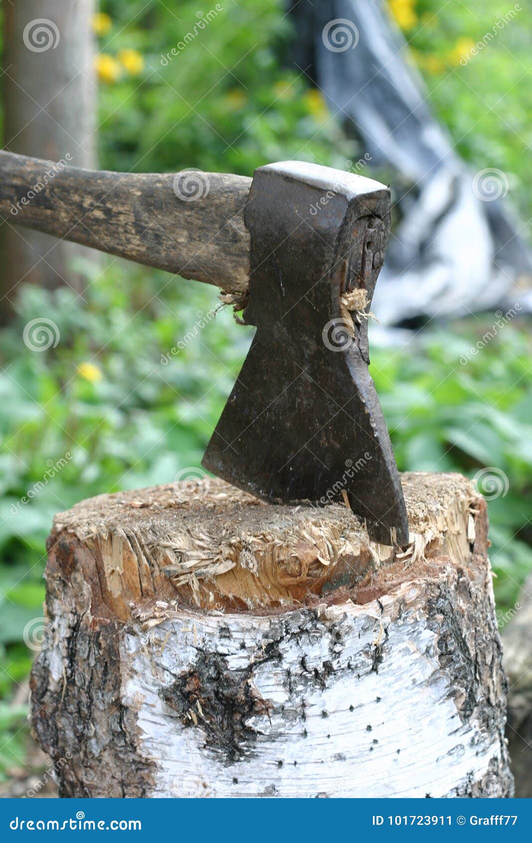 The axe sticks in the log stock image. Image of chop - 101723911