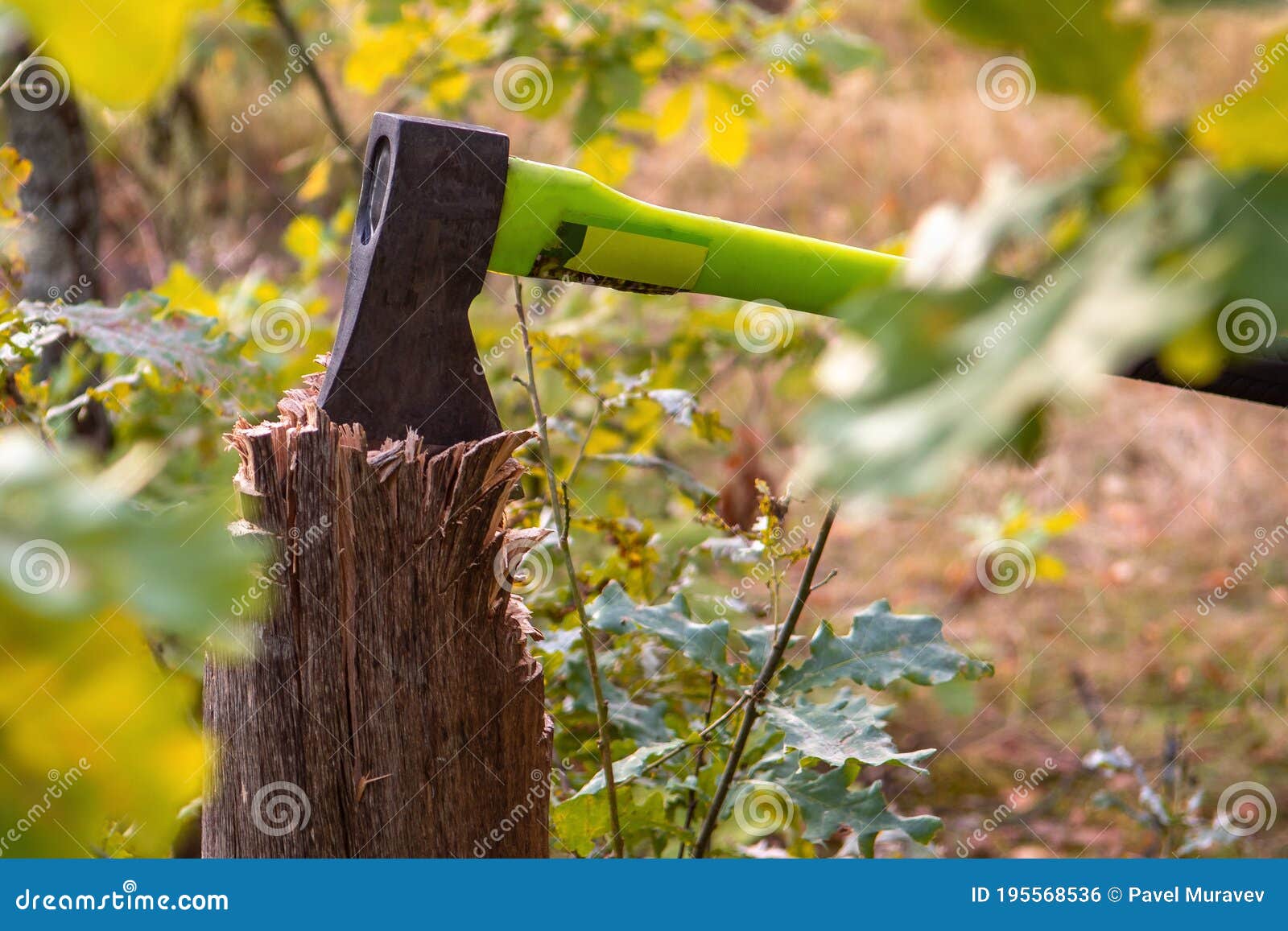 Axe Stuck into the Stump in the Autumn Forest, Woodworking Tools ...