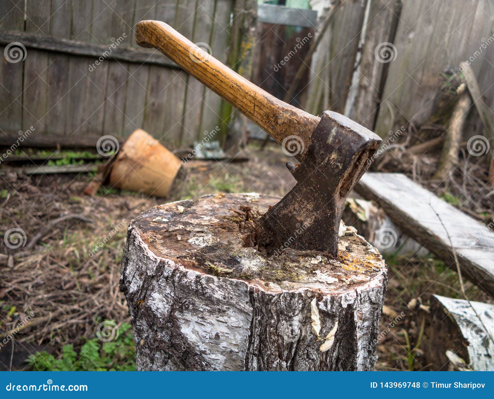 Axe stuck in a stump stock photo. Image of sharp, timber - 143969748